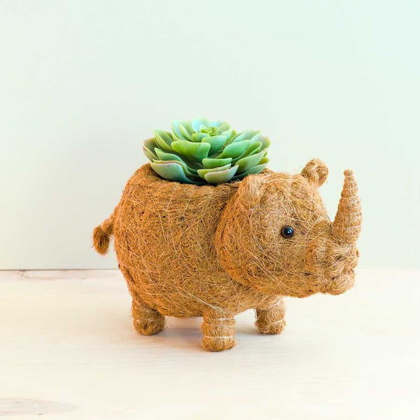 Rhino Planter - Coco Coir Pot - Karma Kiss